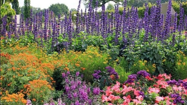 BGS Ground care – A personal solution to commercial and domestic ...